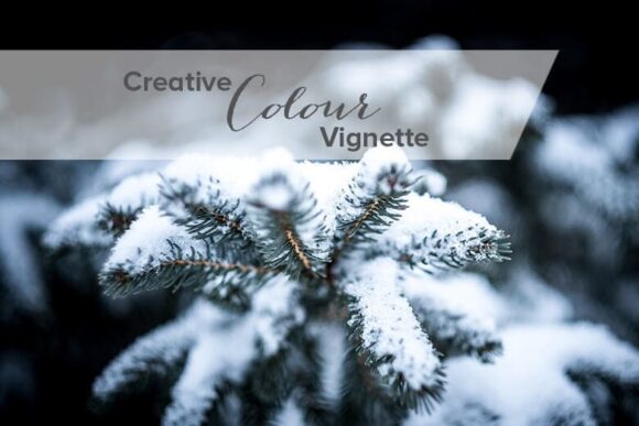 Creative Colour Vignette: Nivel - SweetGeorgia Yarns