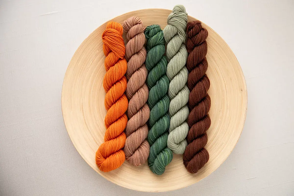 Autumn Vibes with Stitch Diaries: Season Five - SweetGeorgia Yarns