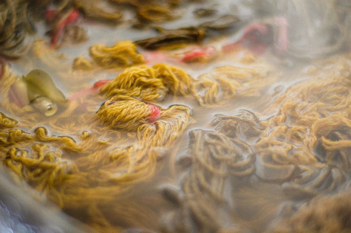 Iron over Osage Natural Dyes - SweetGeorgia Yarns