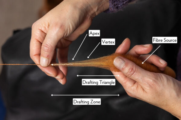 The Many Styles of Spinning Drafts - SweetGeorgia Yarns
