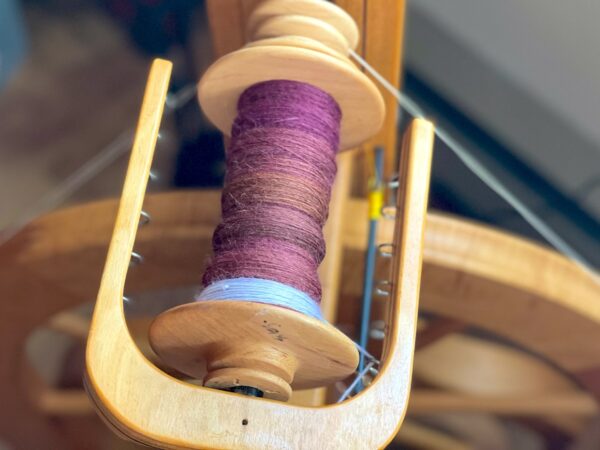 What is a Diz and Why Do You Need One? - SweetGeorgia Yarns
