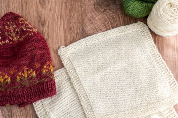 Knitting Garments With Sock Yarn - SweetGeorgia Yarns